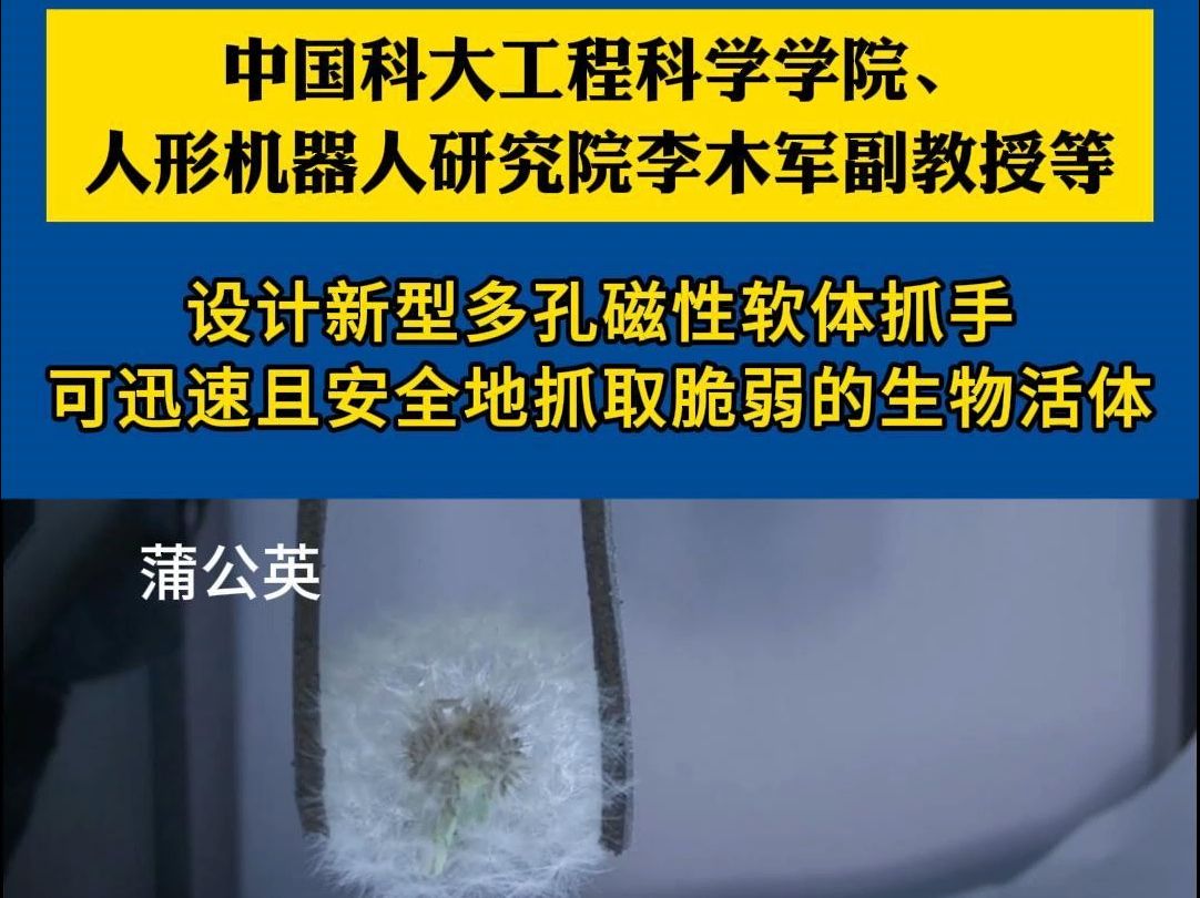 来学习怎么抓蒲公英! 全面解析磁性软体抓手
