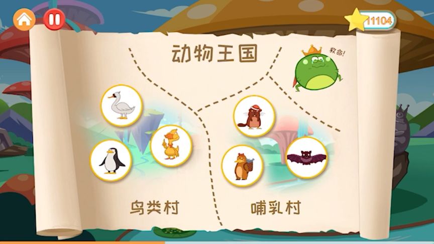 科学馆-13淘气的动植物#动物的分类#哺乳动物#鸟类