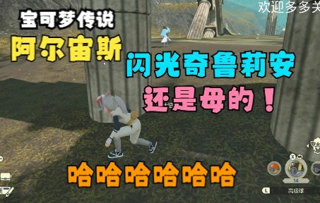 【宝可梦传说 阿尔宙斯】闪光奇鲁莉安 还是母的!哈哈哈哈哈哈
