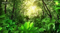 A163动态梦幻神秘森林LED大屏幕视频背景演出唯美绿色树木节目...