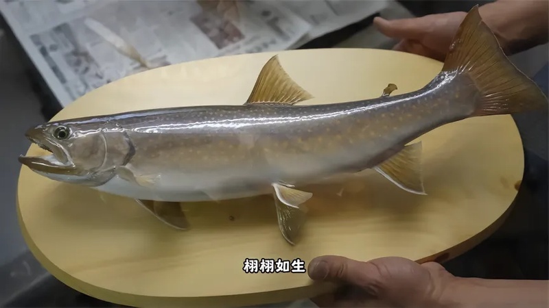 现实版的画皮!对象却是鱼