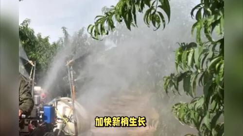 农用尿素有哪些作用?尿素的制作方法