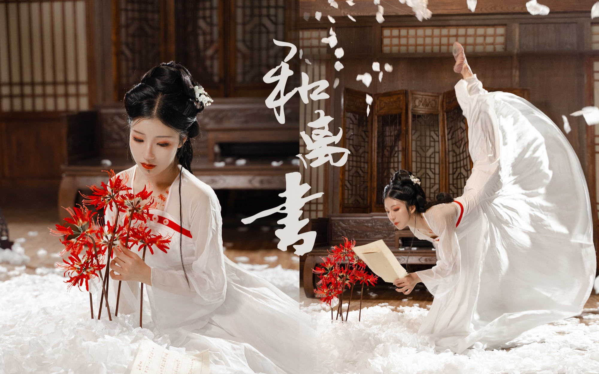 【和离书】业余自学古典舞 | 耗资6k震撼翻跳(片段原创编舞)【点娘】