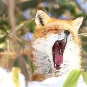 未来忘了无聊物理乌拉 