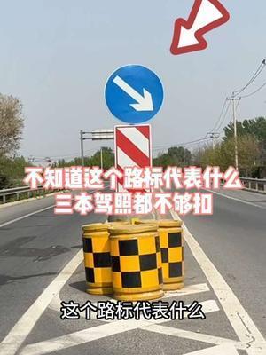 不知道这个路标代表什么,三本驾照都不够扣