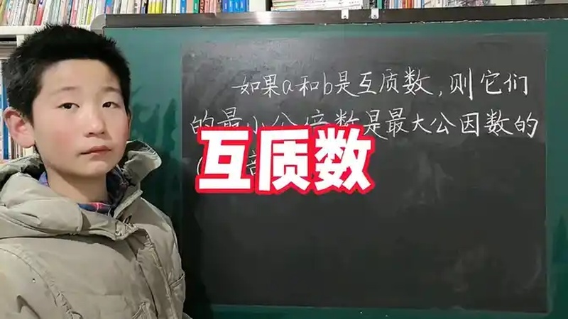 互质数与质数区别很大