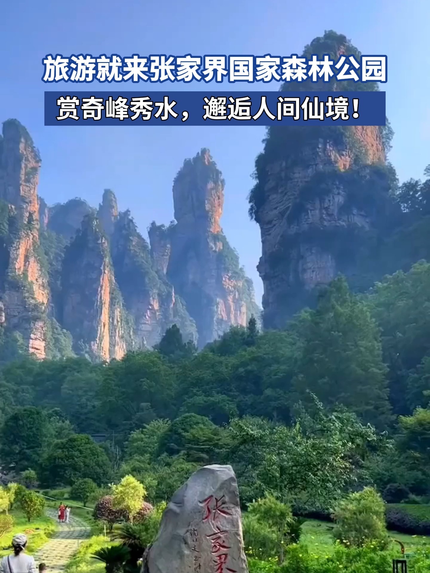旅游就来张家界国家森林公园,赏奇峰秀水 旅游推荐