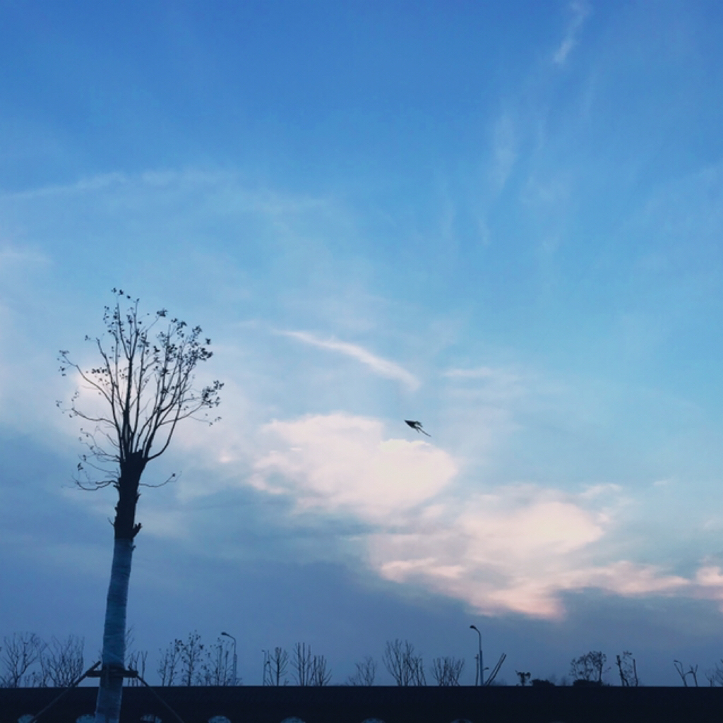 皖K大盘鸡 