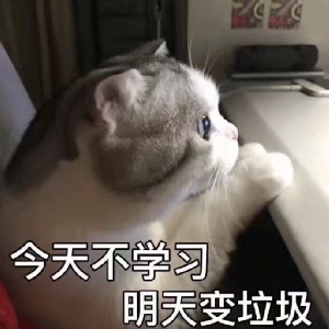 鳕鱼堡爱学习 