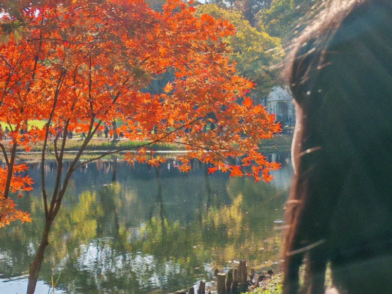 读诗之《圣经》|箴言书4章23-27