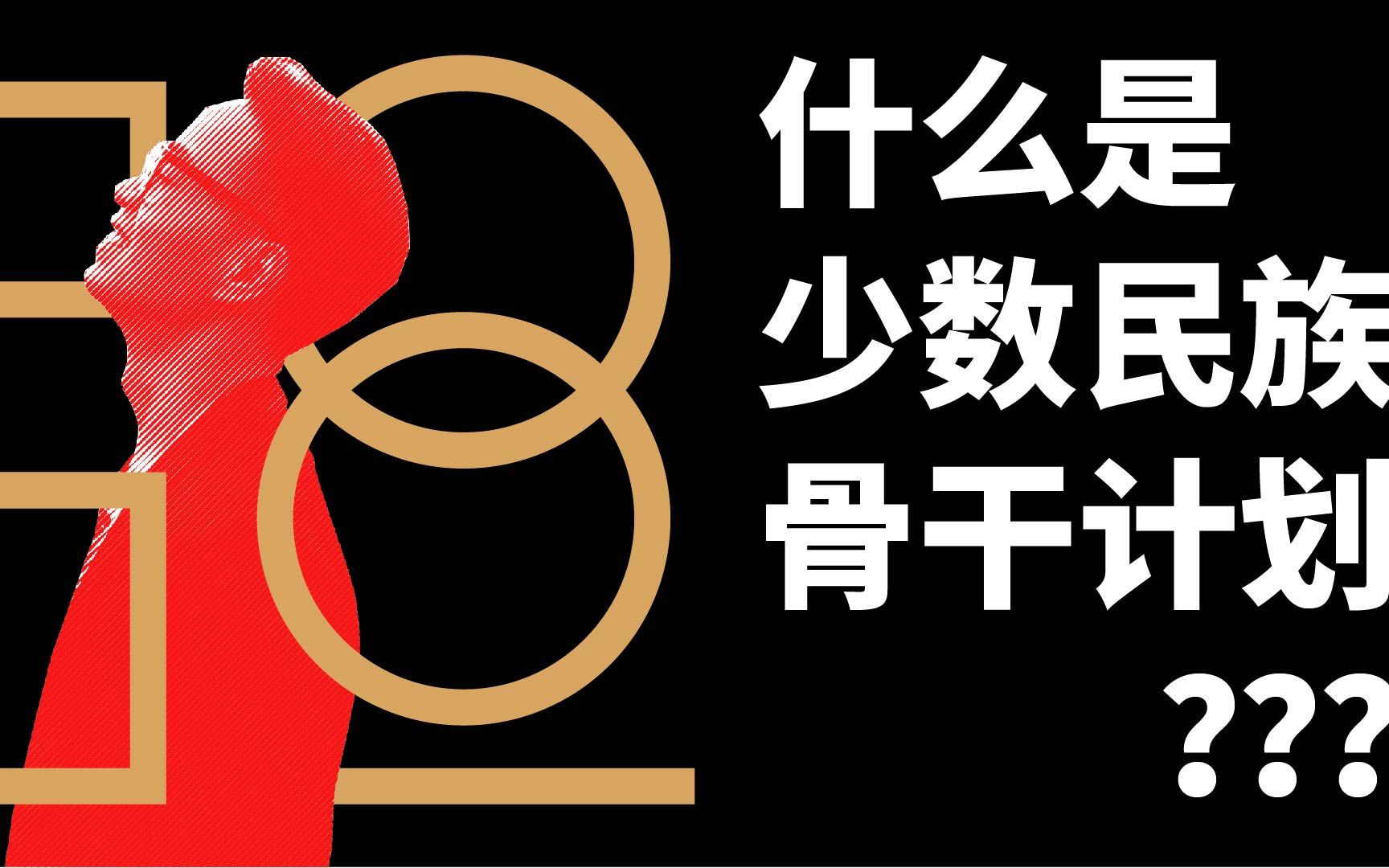 【第12期】少数民族骨干计划是什么?