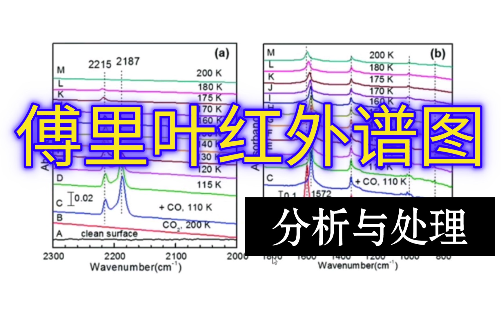 【科研人的自我修养#5】傅里叶红外谱图怎么分析,数据怎么处理