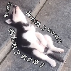 Li逍遥giegie 
