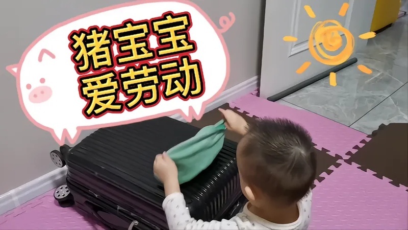 劳动最光荣,猪宝宝爱劳动,看乖宝如何劳动的