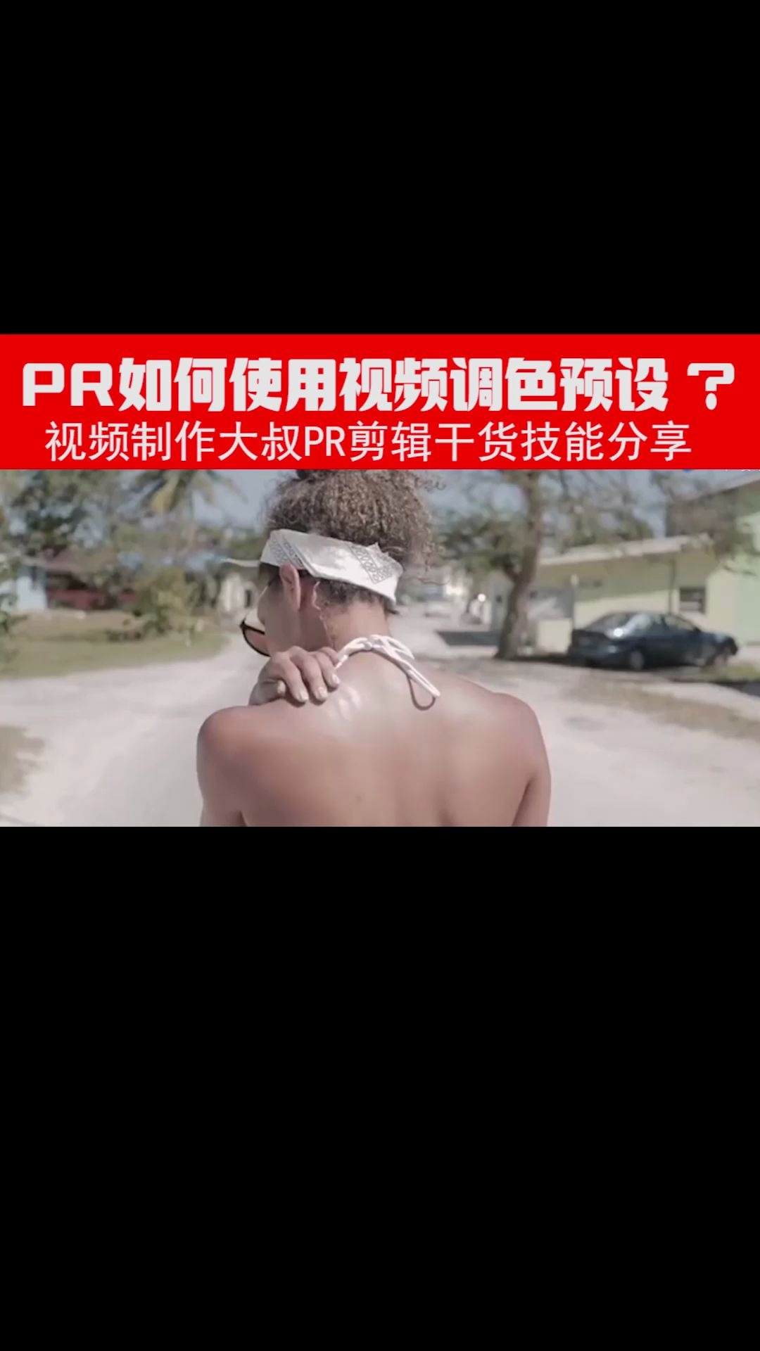 PR中如何使用luts调色预设!
