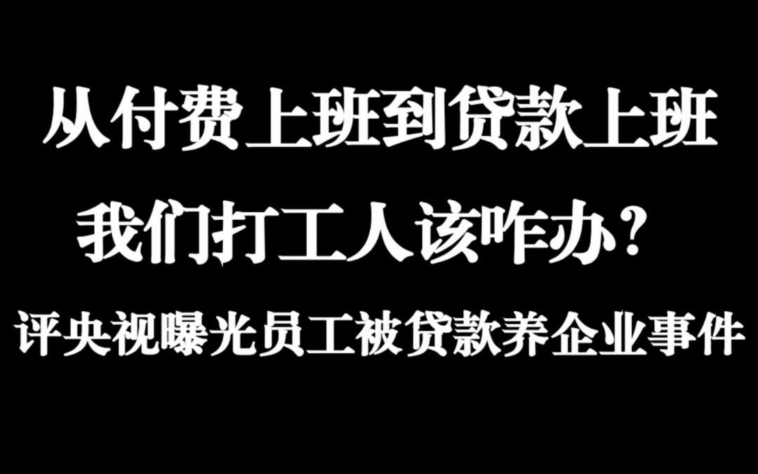 真“贷款上班养公司”啊,我们打工人该咋办?