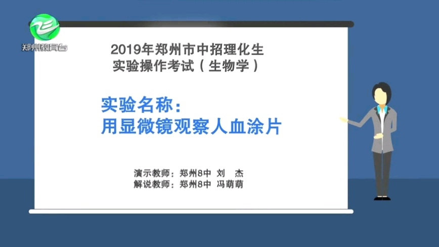 用显微镜观察人血涂片
