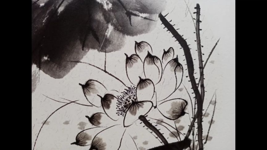 精品示范国画花鸟作品(水墨荷花上集)基础教程学画画