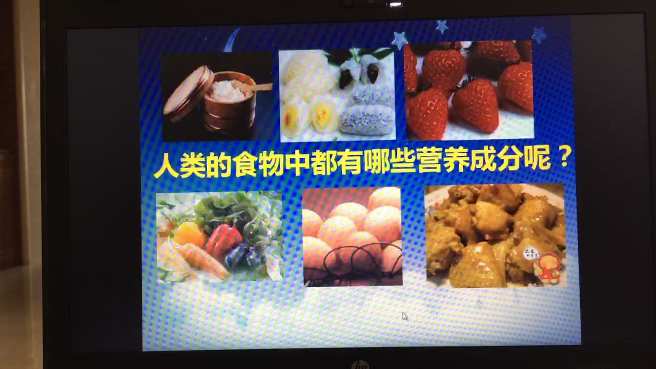 七年级下册生物学第8章第一节人类的食物