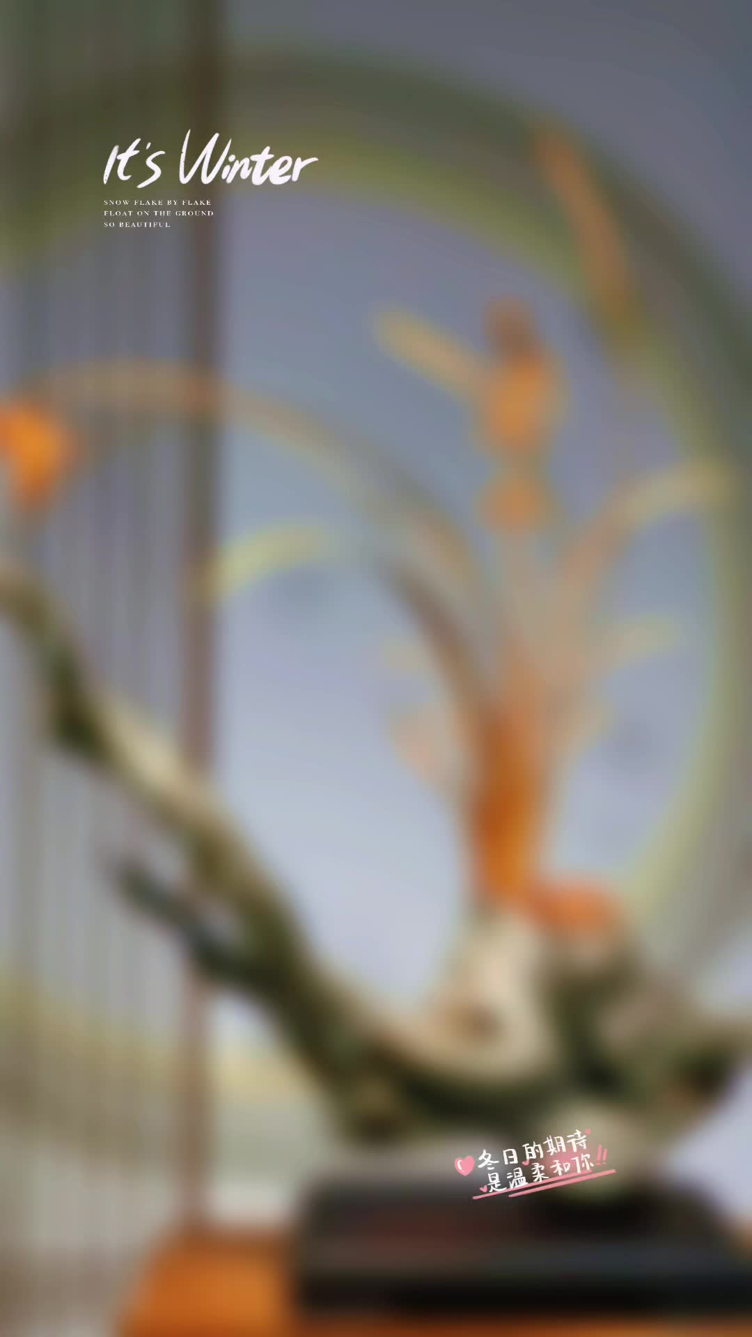 #手艺人在抖音 #创意设计 #实拍