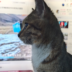 贪狼Huang 