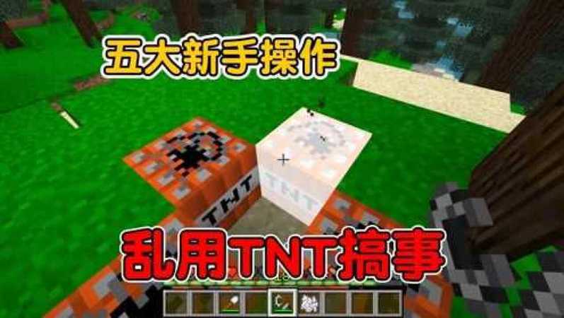我的世界:五大新手操作,玩过mc的都做过!