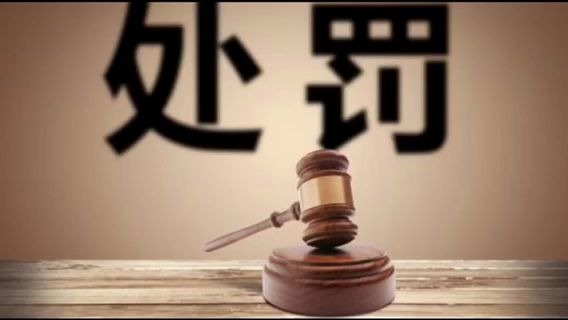 海关行政处罚中的双罚之二