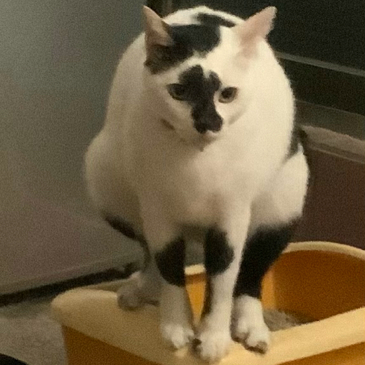 大㤑池久 