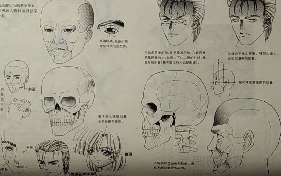 经典漫画教材解读0047 全侧头骨结构理解及画法展示