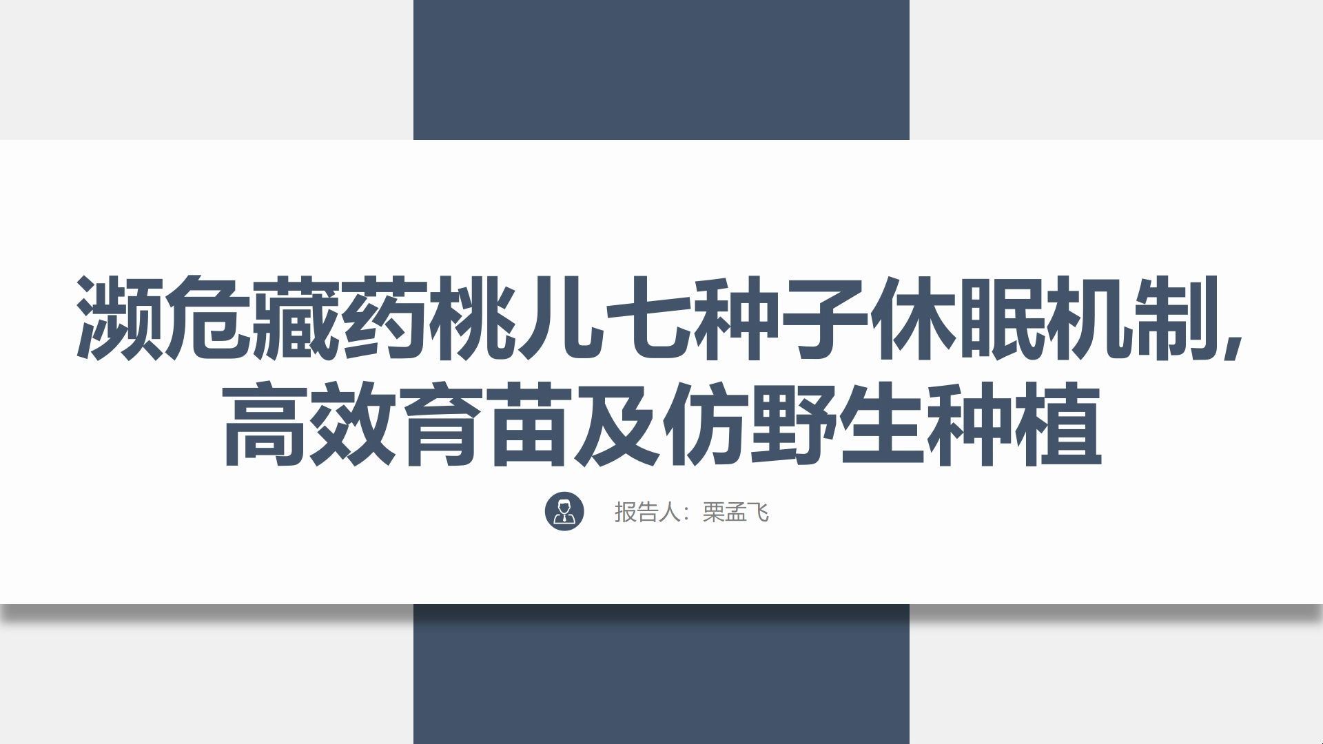 ...25】栗孟飞:濒危藏药桃儿七种子休眠机制,高效育苗及仿野生种植