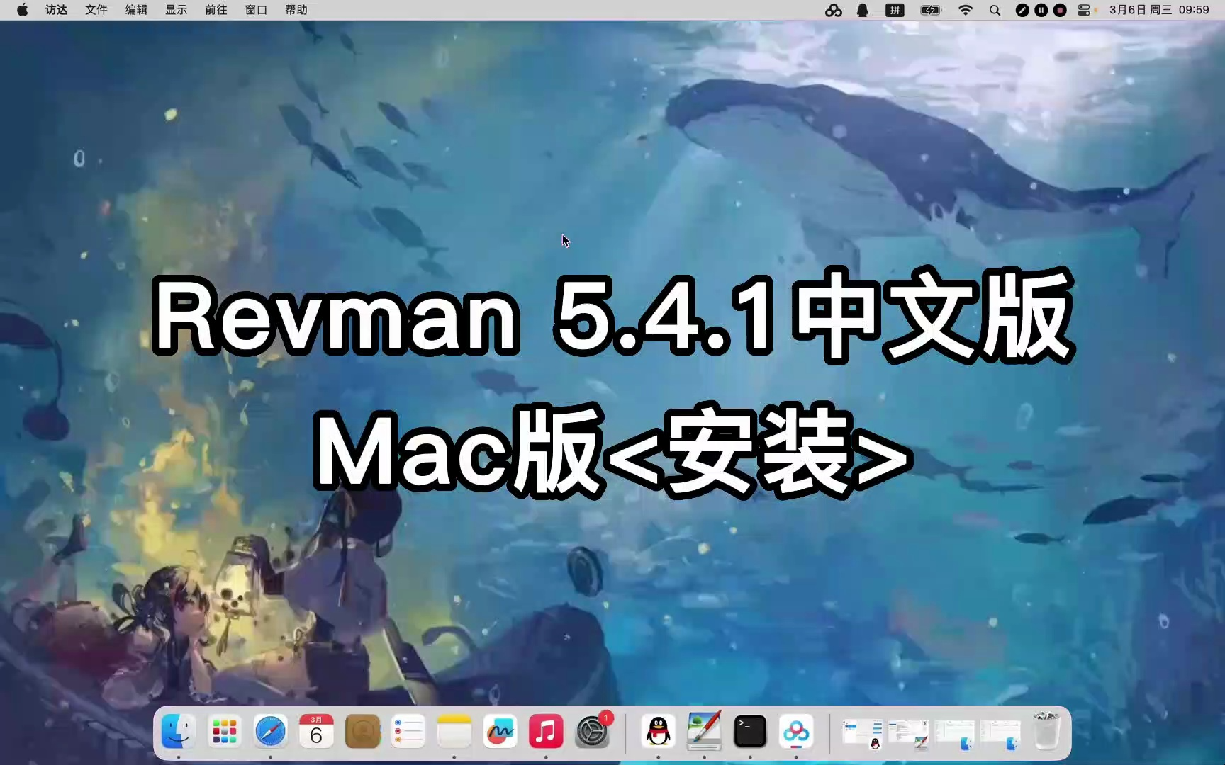 Revman 5.4.1中文版 for Mac过程中的技巧与窍门