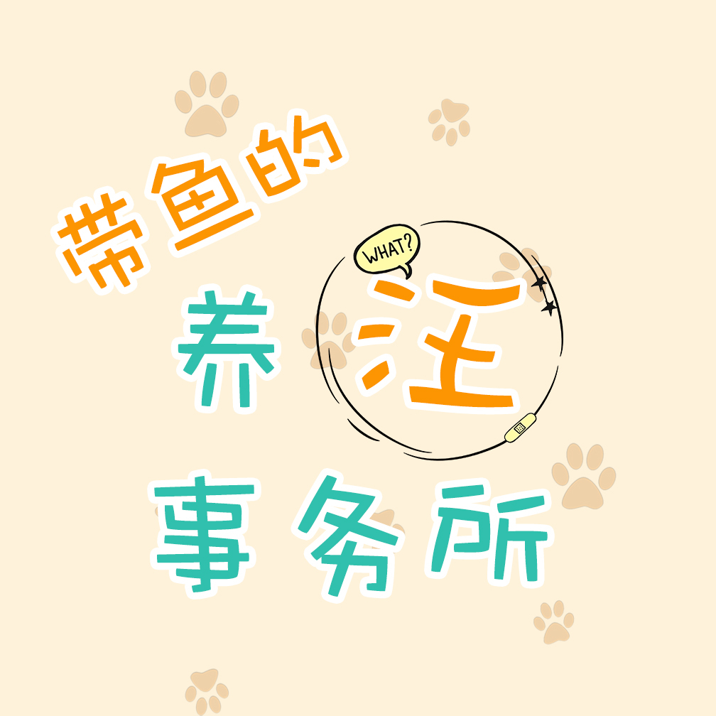 带鱼的养汪事务所 