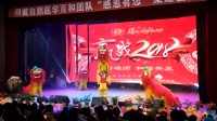 舞狮表演神韵龙狮艺术团晚会表演
