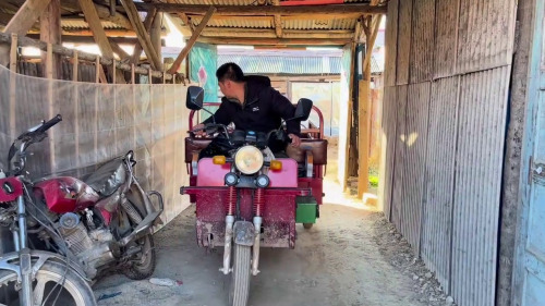 听说另外一片地收了,信心满满的来捡黄豆,可是这地收得太干净了