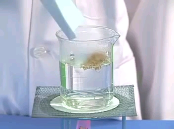 实验:热在水中的传播