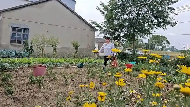 我觉得中国的传统文化国外保持的更好很多传统节日在中国都不注重