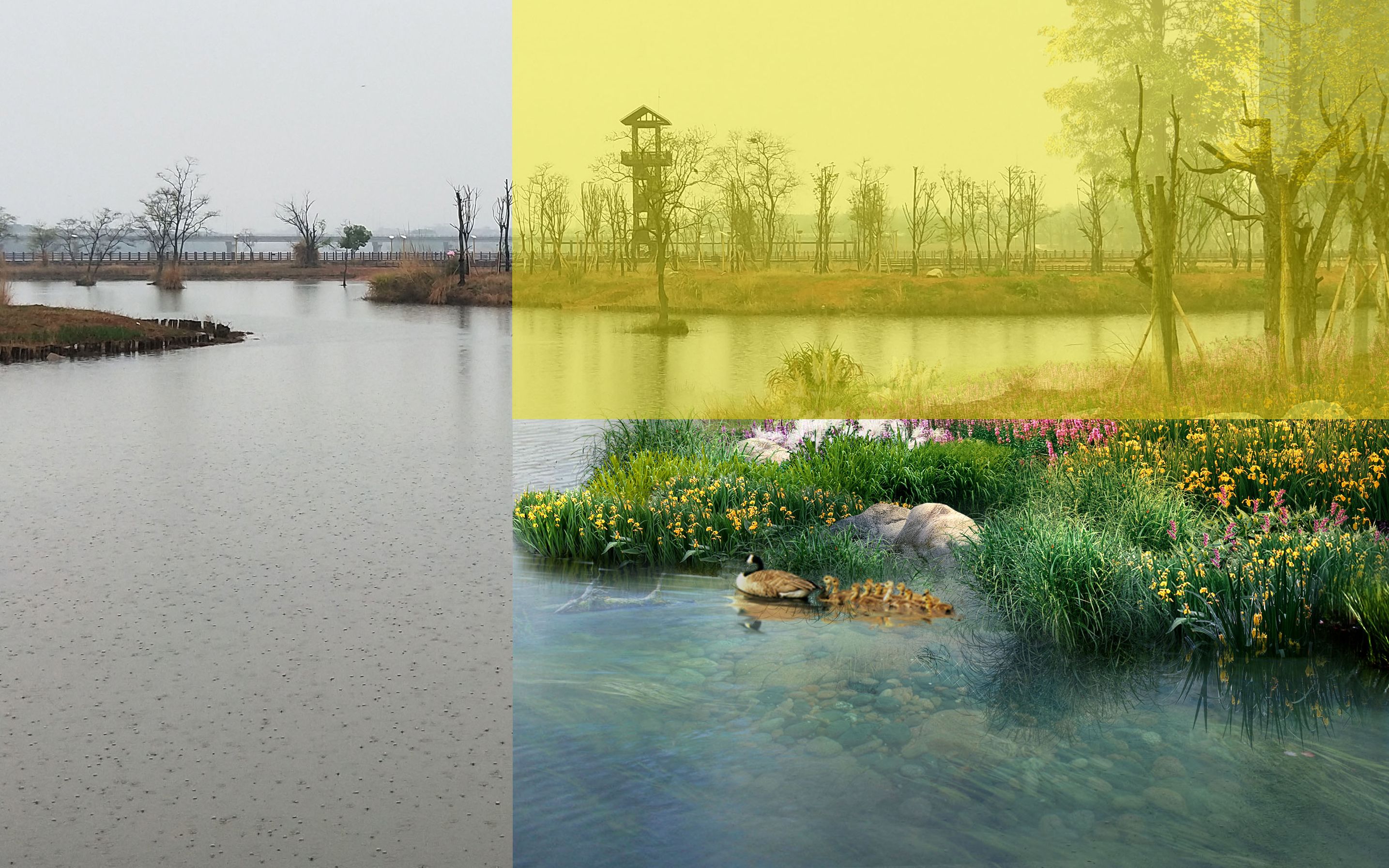 景观规划软件教程公开课丨Lumion8.0出通道技巧及PS湿地改造思路