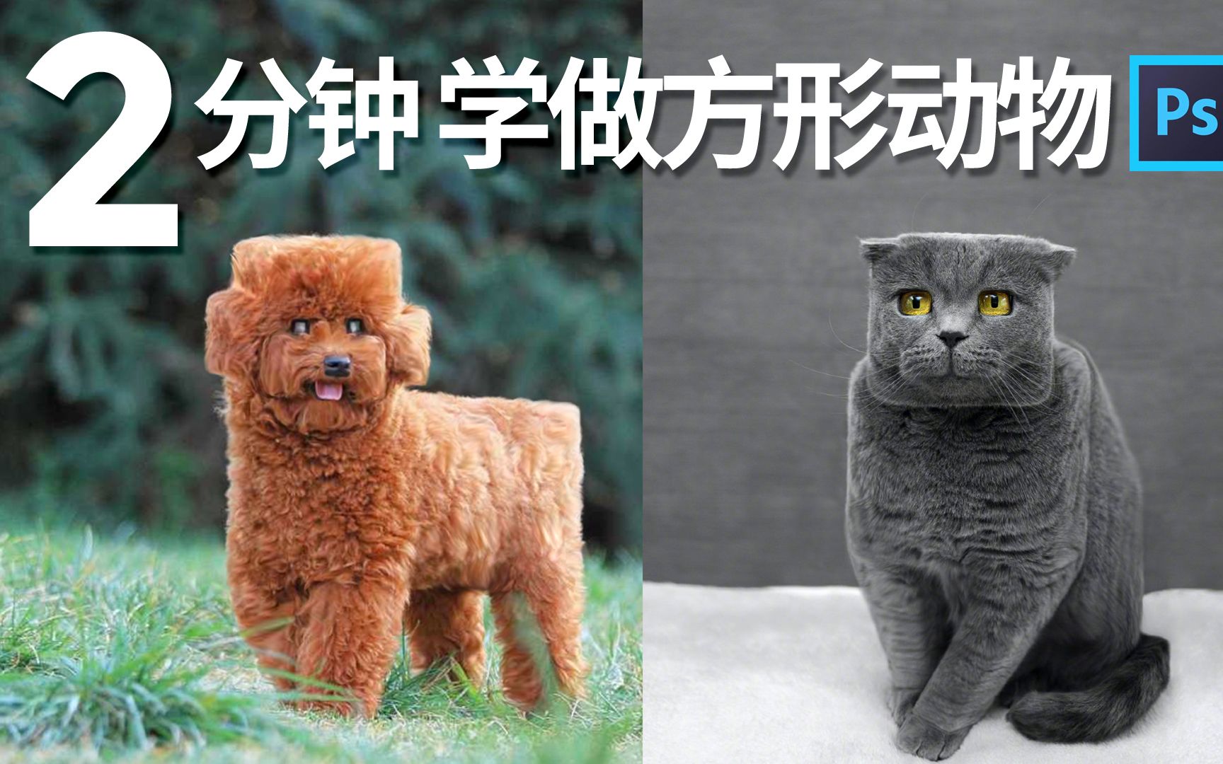 2分钟学会做方形动物,PS超轻松教程