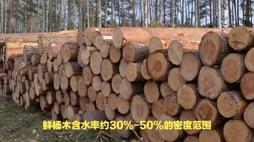 一吨湿杨树体积计算:密度、含水率与实际应用