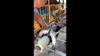 盘式160剥皮器视频外半导视频小