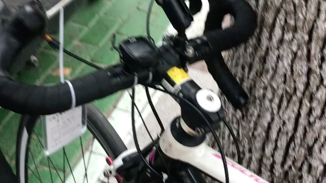 公路车 当下坡时遇到逆行者