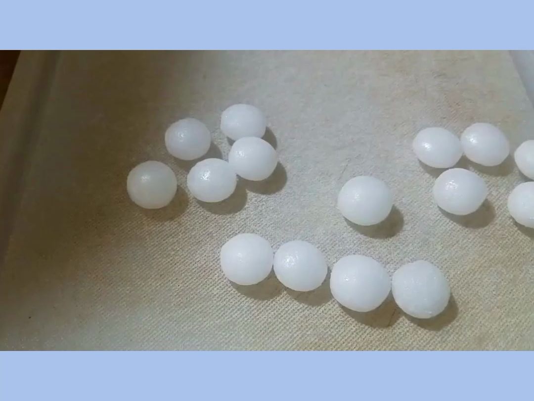樟恼丸樟脑球能去除书虱吗?