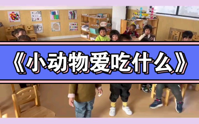 幼儿园公开课|小班数学活动:5以内的点数 小班数学活动《小动物爱吃...
