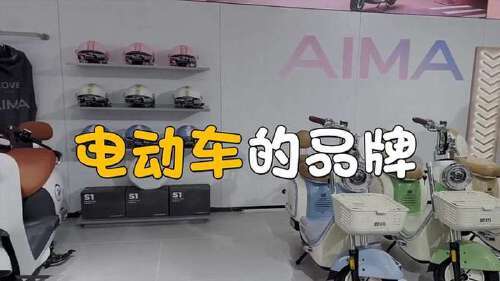 电动车品牌大揭秘:谁才是续航与性价比的双料王者?