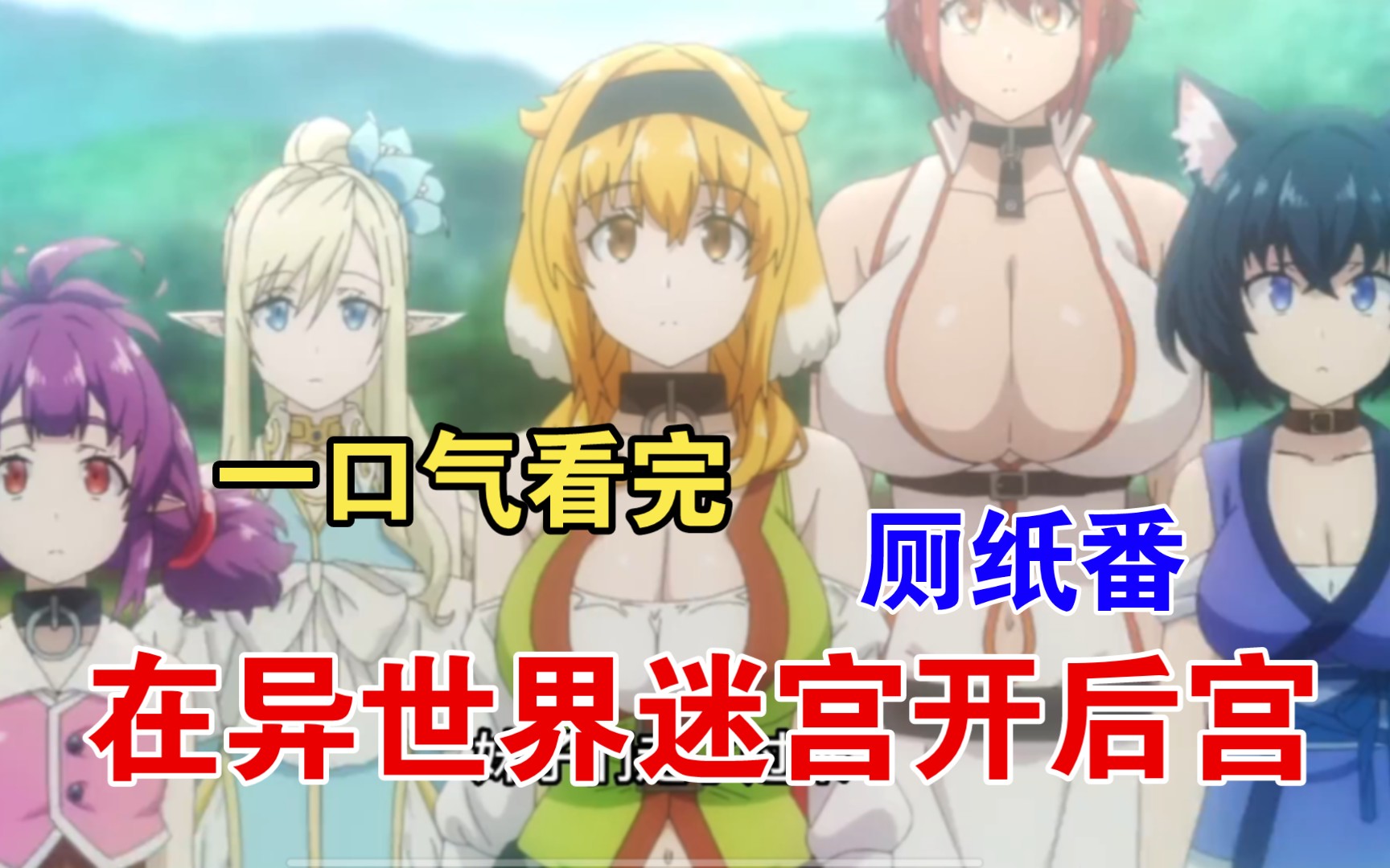 一口气看完超爽厕纸番:《在异世界迷宫开后宫》