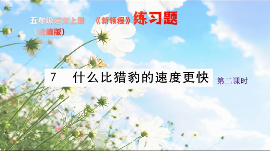 什么比猎豹的速度更快,第二课时练习