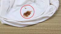 油渍滴在衣服上了怎么办?家政阿姨教我1招,轻松彻底除油渍