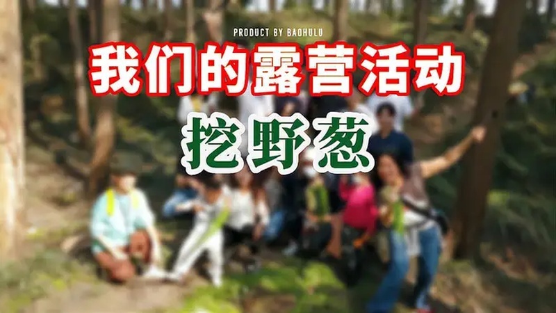 宝葫芦趣露营第一次群活动记录挖野葱挖野菜户外知识课堂生存技能