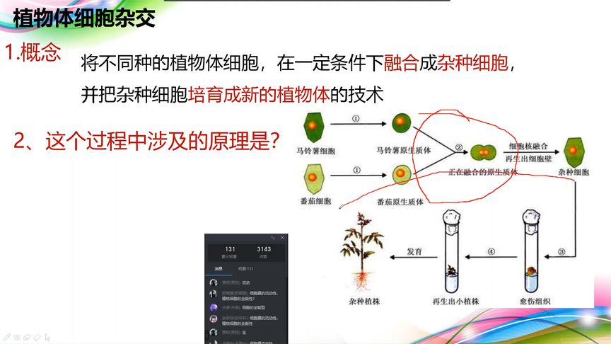 高中生物选修三精讲——植物体细胞杂交与动物细胞融合比较