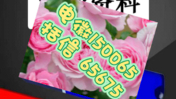 筑业云资料软件狗2022新版资料园林土建安装市政建筑工程